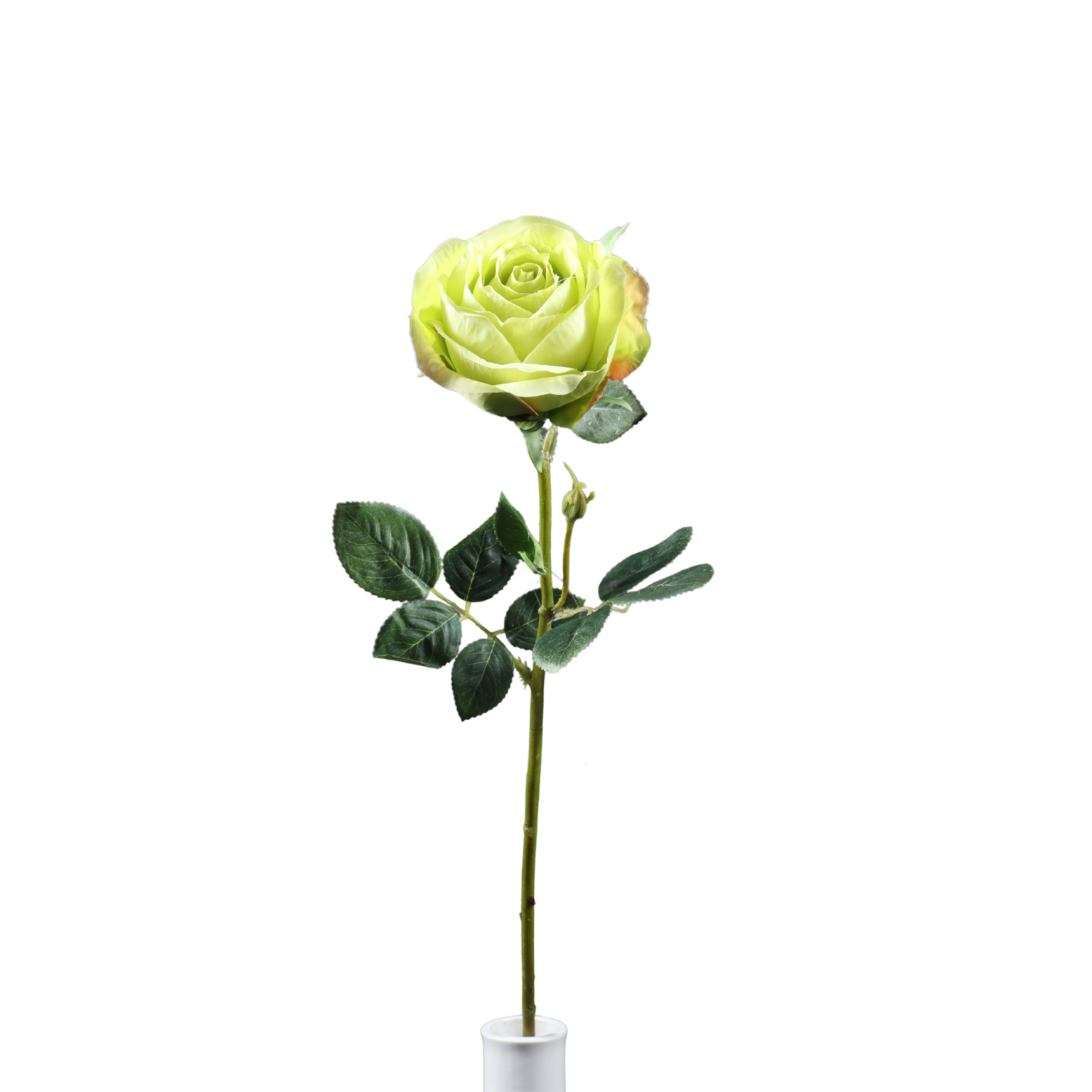 Wholesale Real Touch Flowers & Silk Flowers | TrustFloral